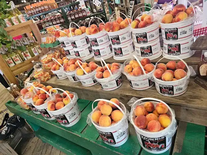 Morris Farm Market | Carolina Schedule 2025 Updated